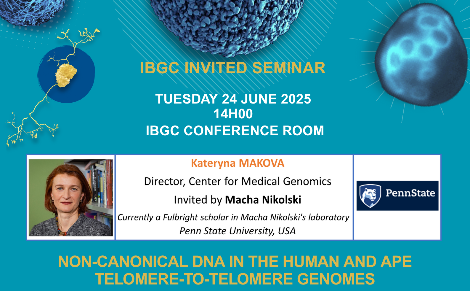 Séminaire IBGC "Non-canonical DNA in the human and ape telomere-to-telomere genomes ...