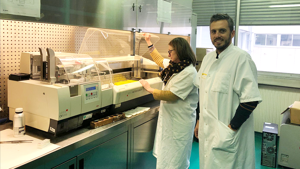 Thomas Daubon, nouveau directeur de la plateforme d'histopathologie ...